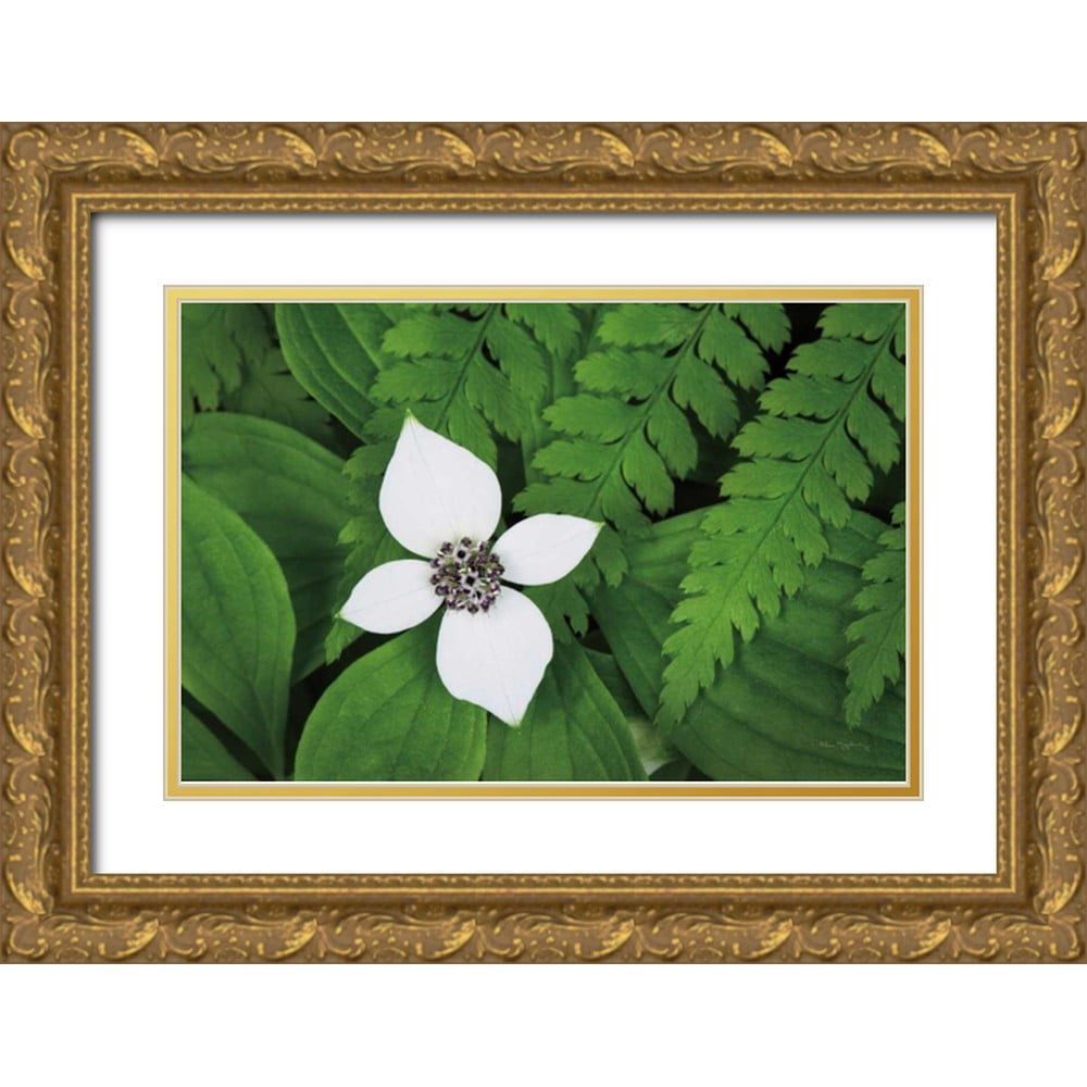 Audit, Lisa 24x17 Gold Ornate Wood Framed with Double Matting Museum ...