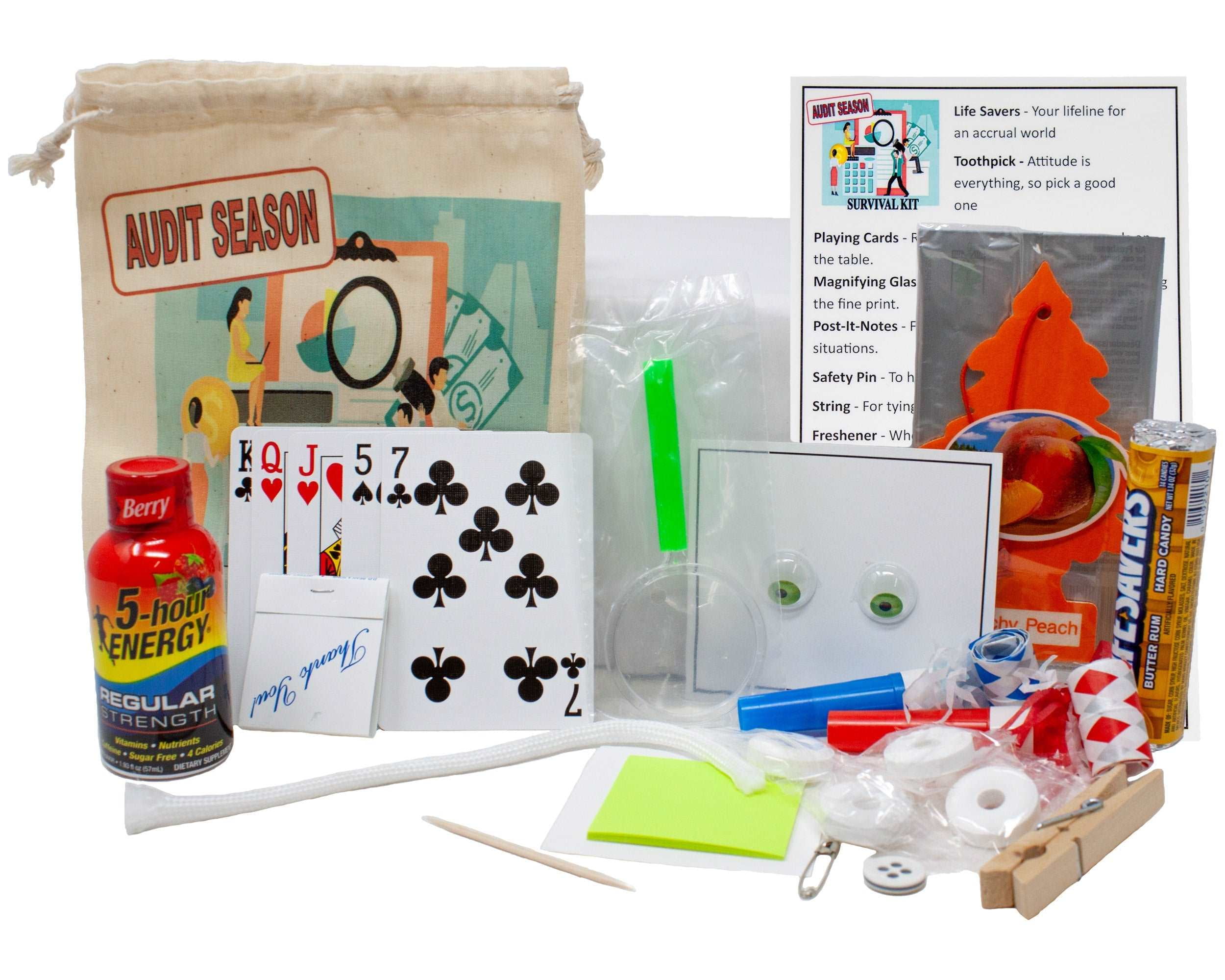 Audit Season Survival Kit | Humorous Gift for Accountants, Auditors ...