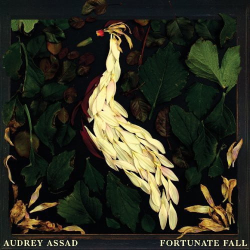 Audrey Assad - Fortunate Fall - Music & Performance - CD - Walmart.com