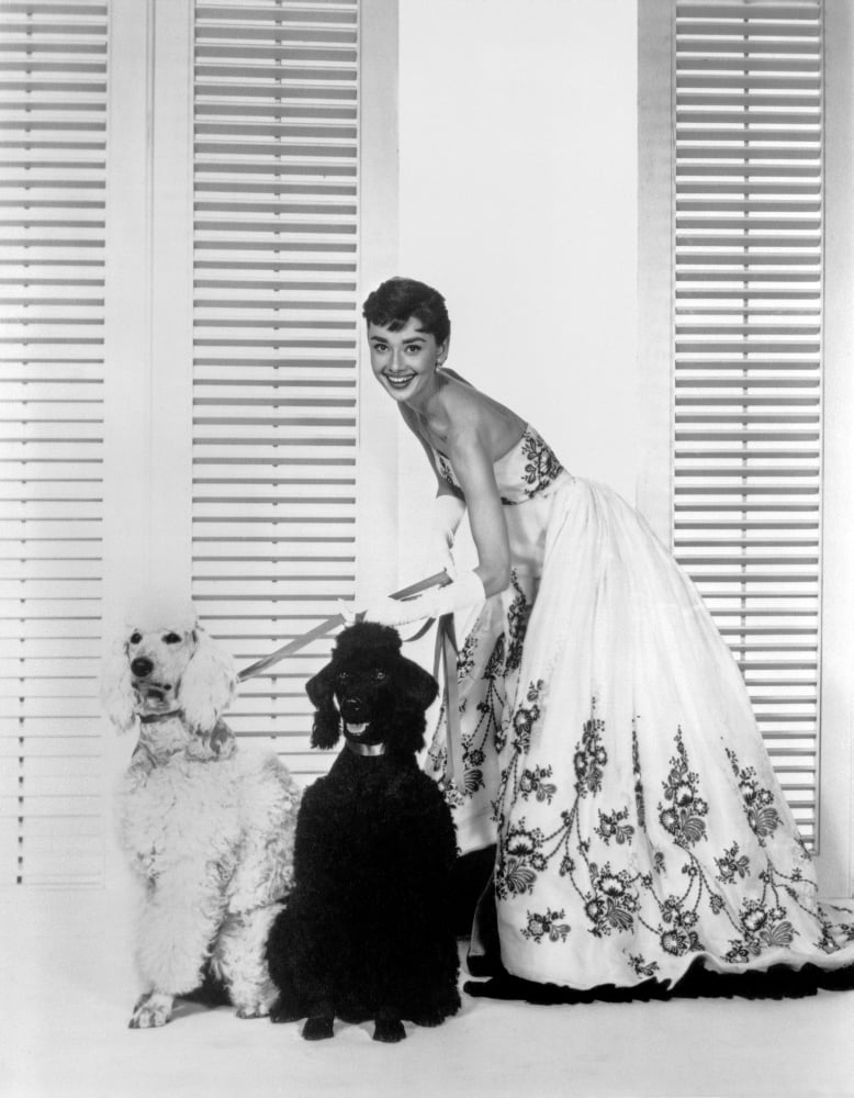 Audrey Hepburn And Dogs Photo Print (24 x 30) - Walmart.com