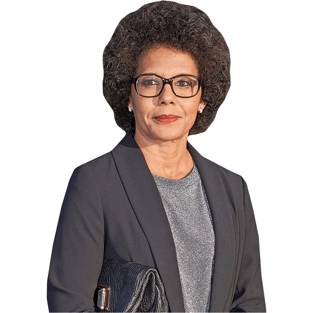 Audrey Pulvar (Grey Dress) Half Body Buddy Cutout - Walmart.com