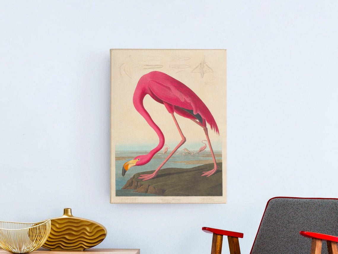 Audubon American Flamingo Poster Vintage Bird Art Reproduction ...