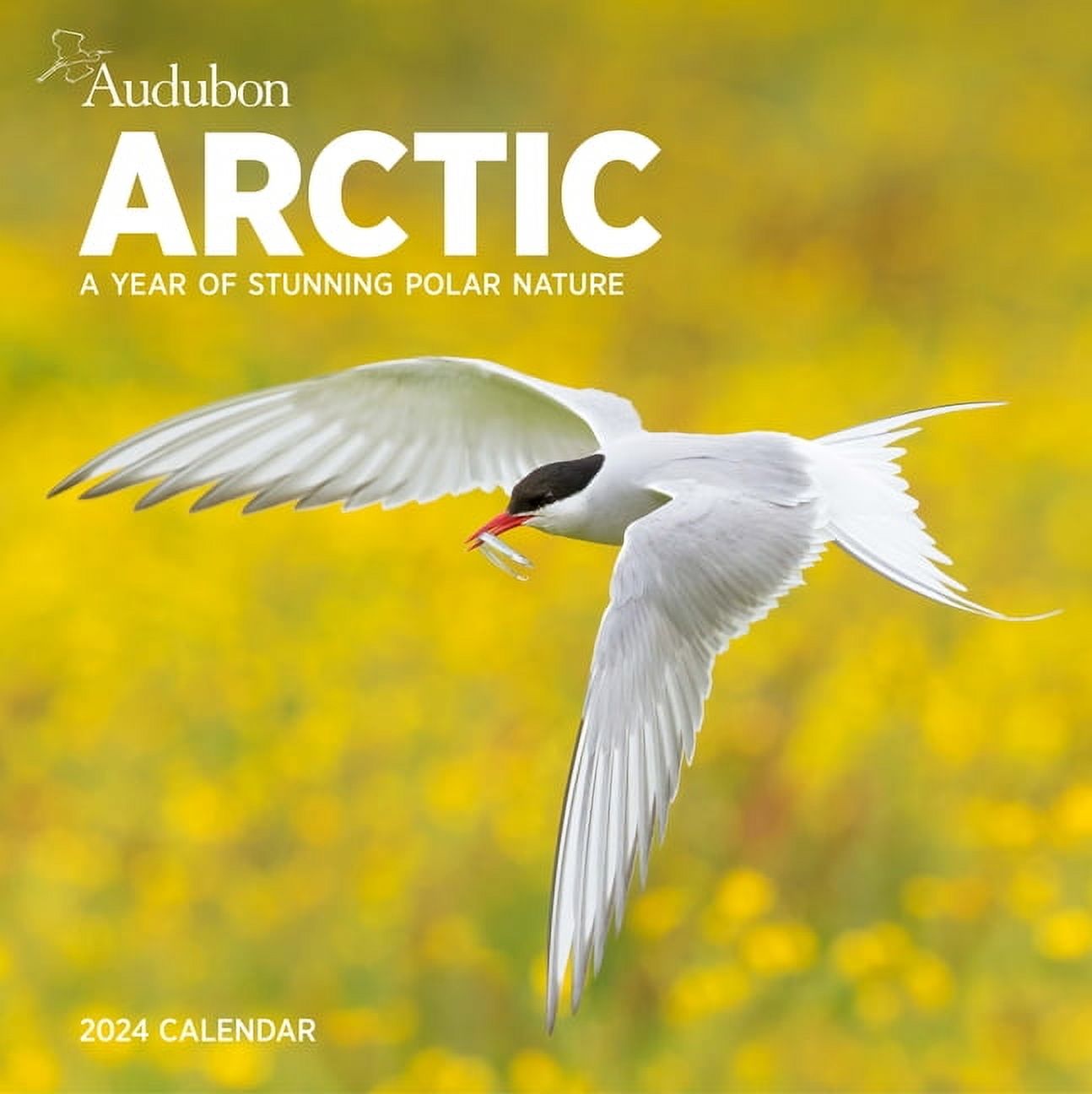 Audubon Arctic Wall Calendar 2024 : A Year of Stunning Polar Nature ...