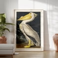 Audubon Bird Print, Vintage Bird Print, Pelican Poster, Natural History ...