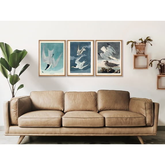 Audubon Bird Prints Vintage Coastal Wall Art Home Decor Office Wall Art ...