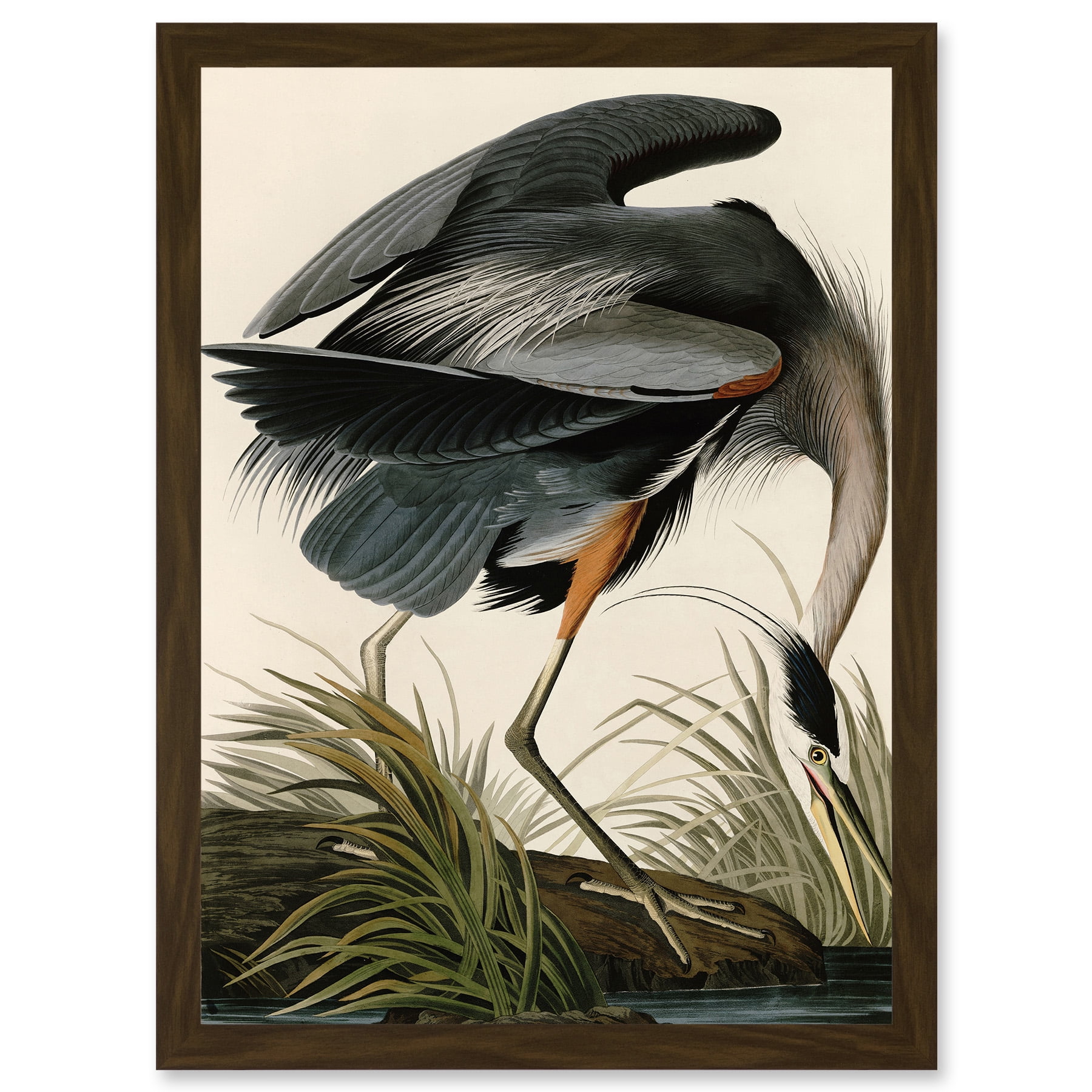 Audubon Birds Great Blue Heron Painting Nature Animals Artwork Framed ...
