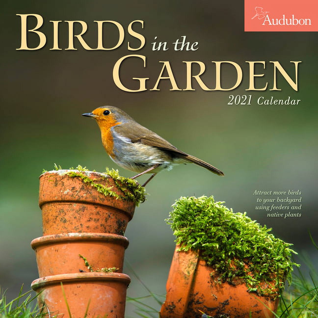 Audubon Birds In The Garden 2021 Calendar - Walmart.com