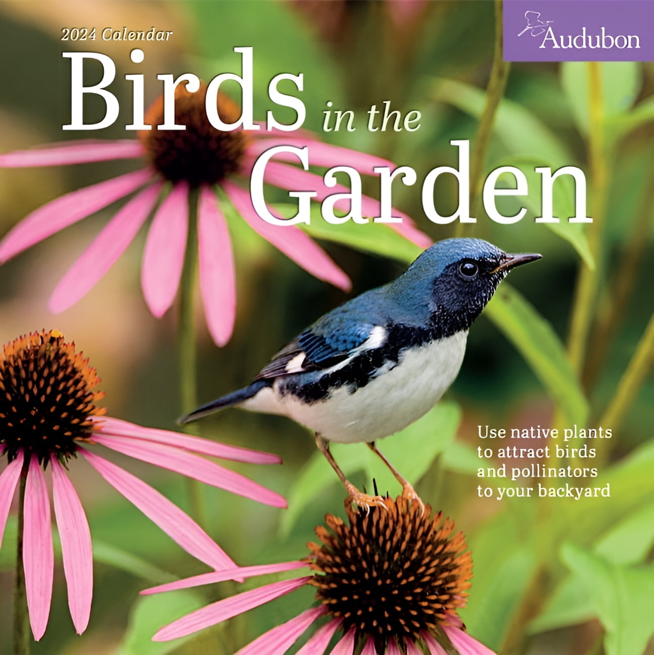 Audubon Birds in the Garden Wall Calendar 2024 : Use Native Plants to ...