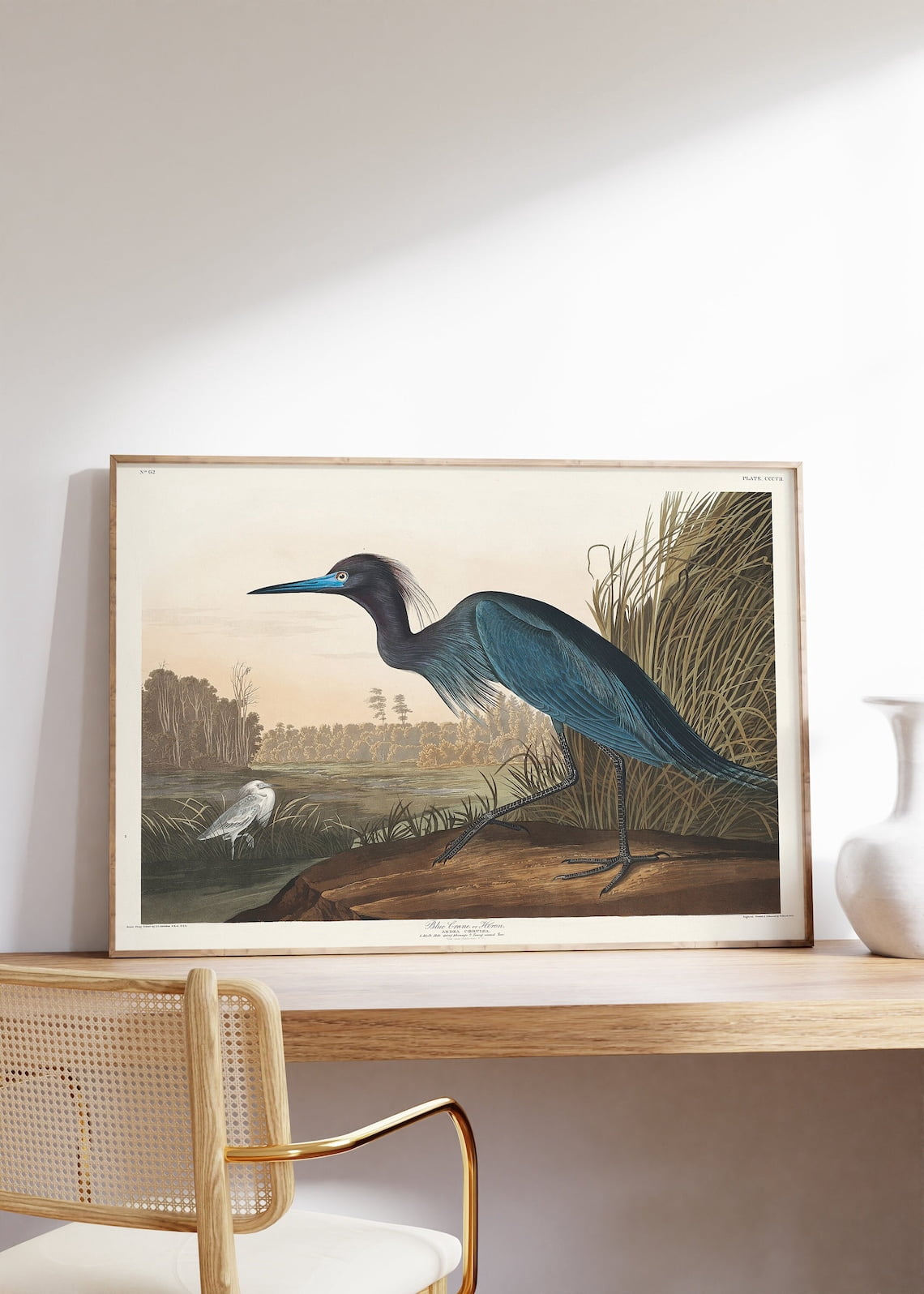 Audubon Blue Bird Crane Vintage Wildlife Poster, Unframed Size 24x36 ...