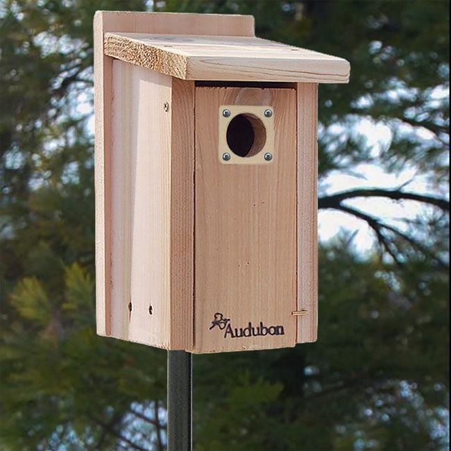 Audubon Cedar Bluebird House with Pole and Hole Protector - Walmart.com