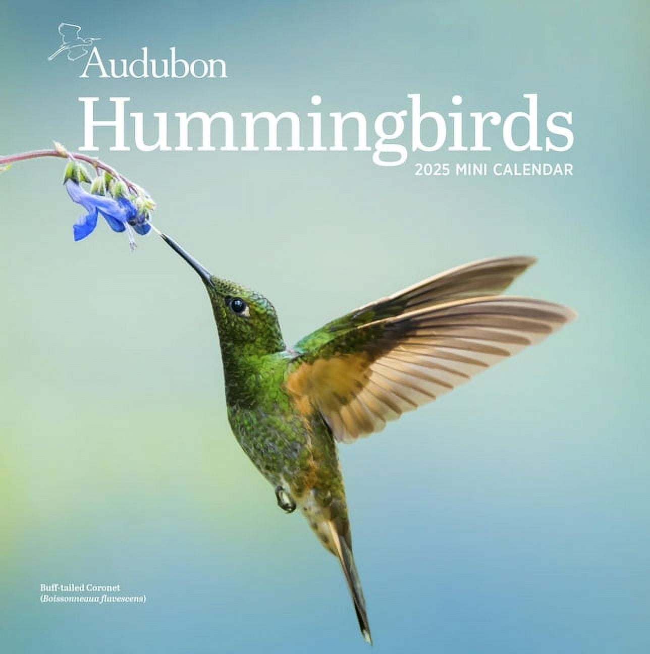 Audubon Hummingbirds Mini Wall Calendar 2025, (Paperback) - Walmart.com