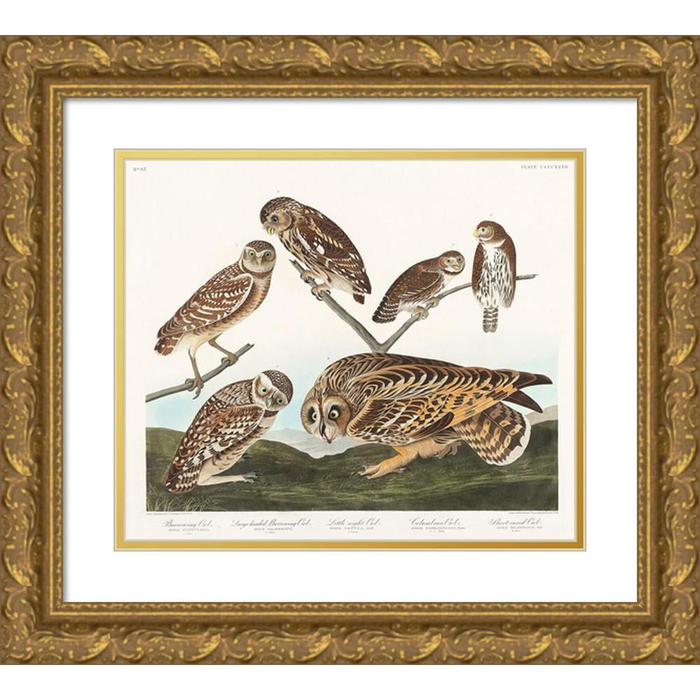 Audubon, John James 17x15 Gold Ornate Wood Framed with Double Matting ...