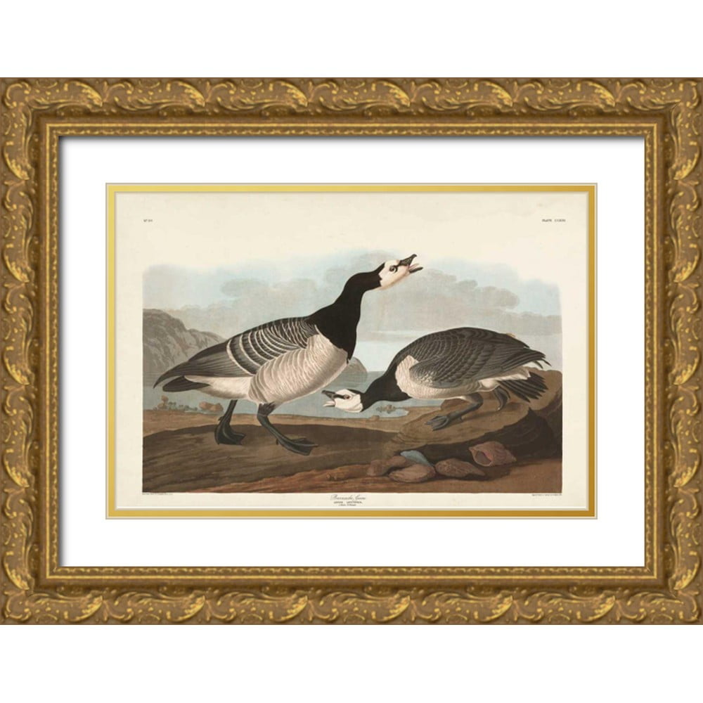 Audubon, John James 24x17 Gold Ornate Wood Framed with Double Matting ...