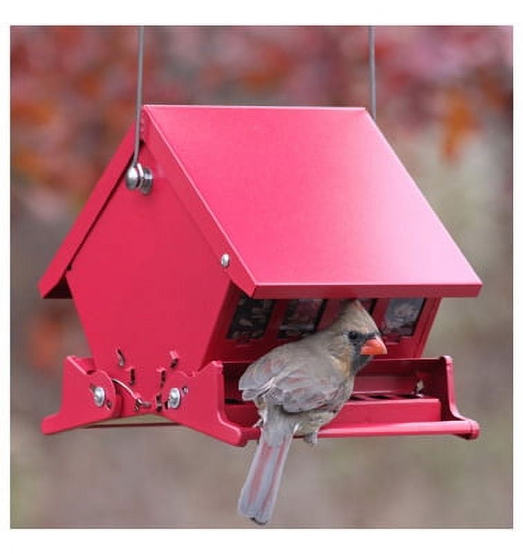 Audubon Mini Absolute II Squirrel Proof Hopper Bird Feeder Roof Locks ...
