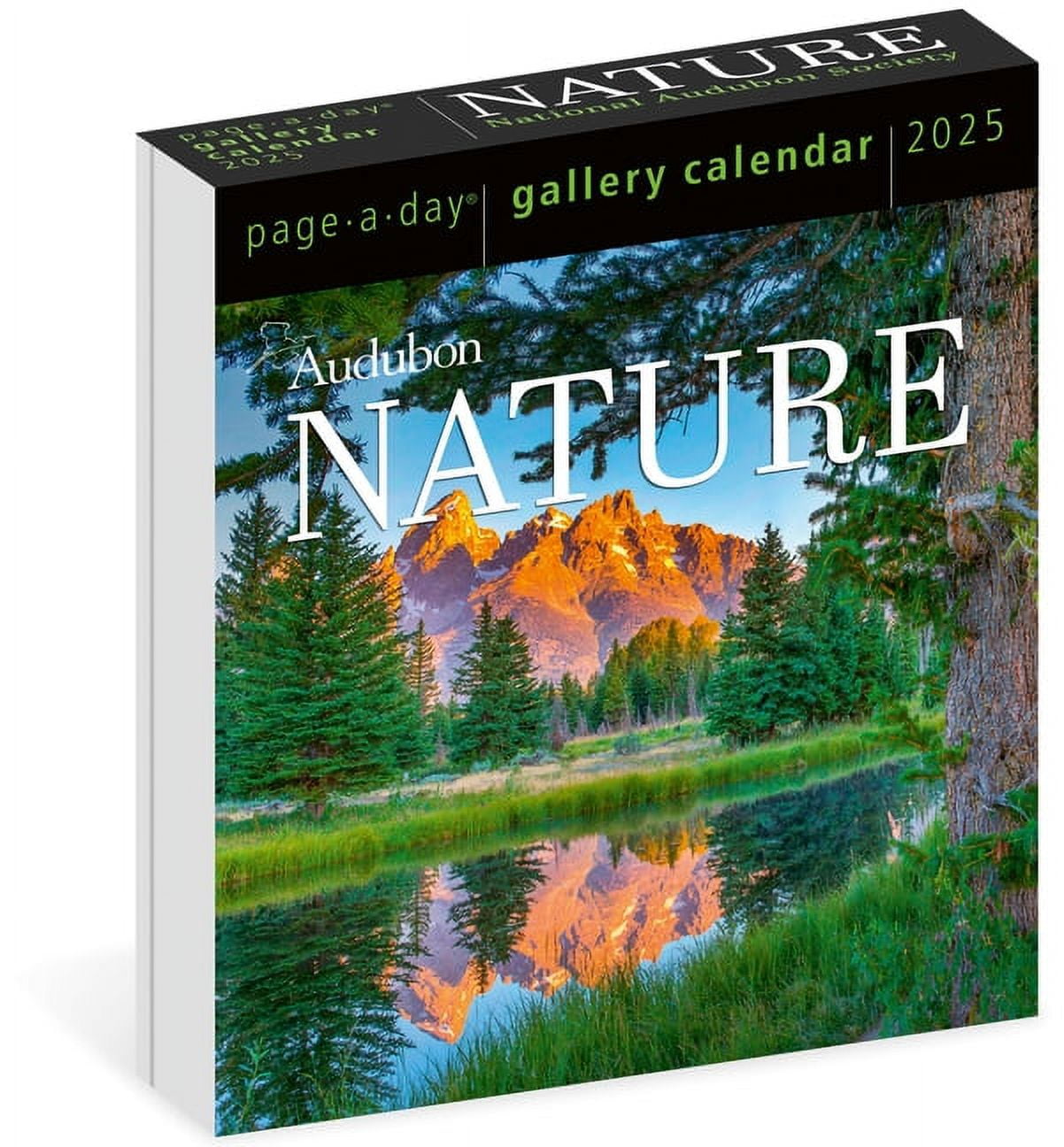 Audubon Nature Page-A-Day(r) Gallery Calendar 2025, (Paperback ...