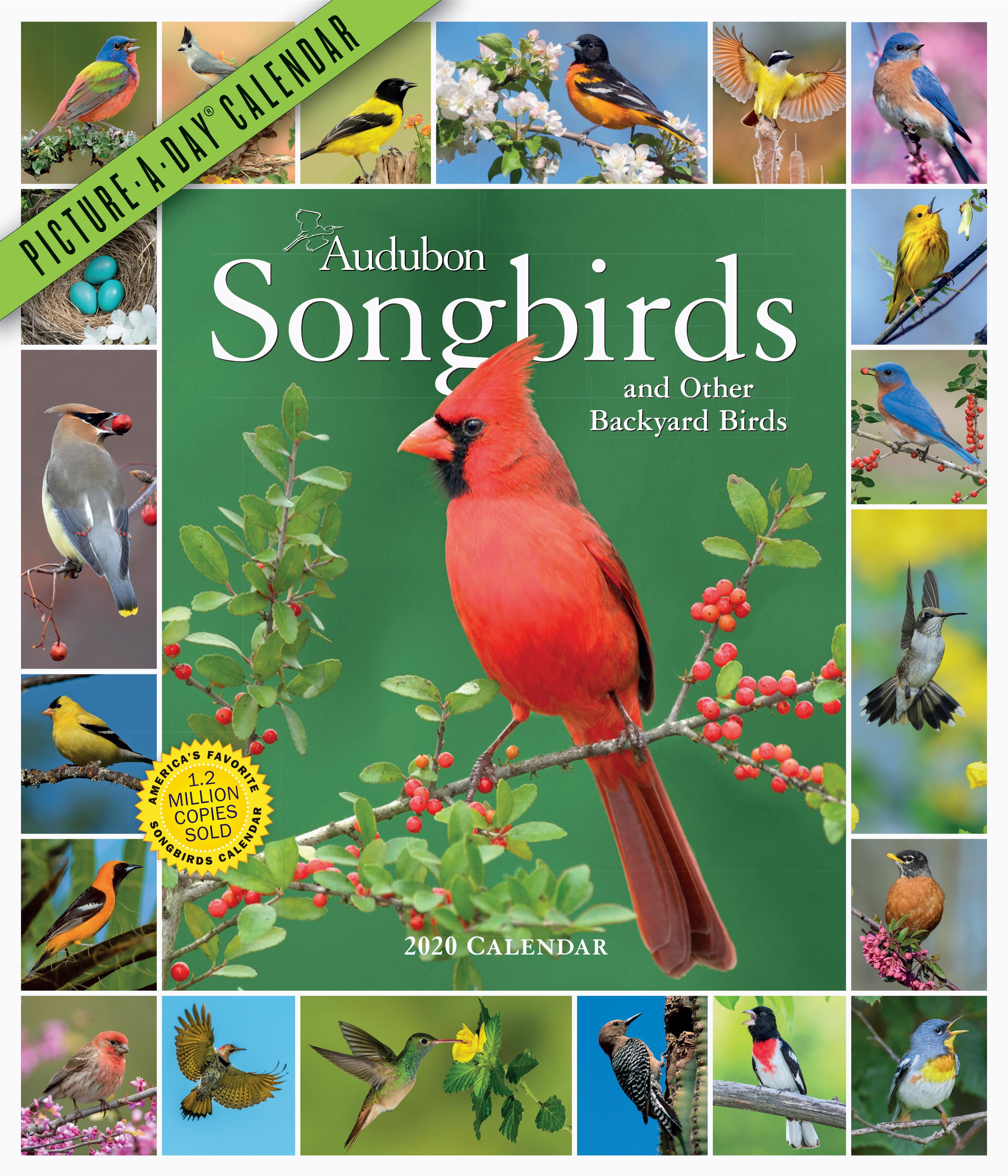 Audubon Songbirds and Other Backyard Birds Picture-A-Day Wall Calendar ...