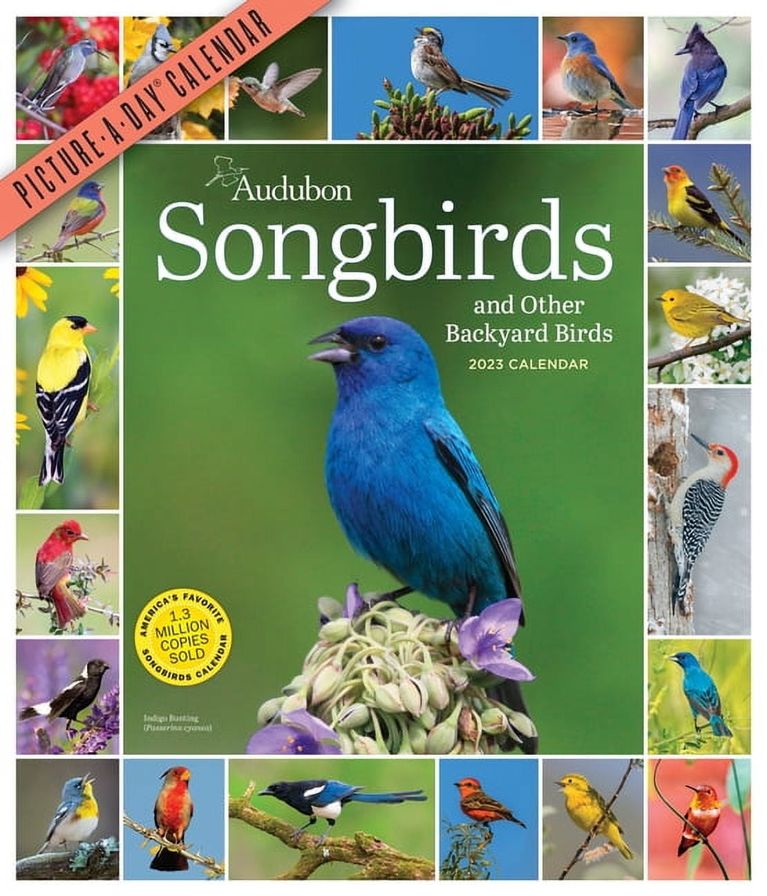 Audubon Songbirds and Other Backyard Birds Picture-A-Day Wall Calendar ...