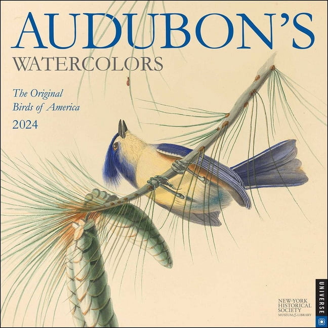Audubon's Watercolors 2024 Wall Calendar, (Paperback) - Walmart.com