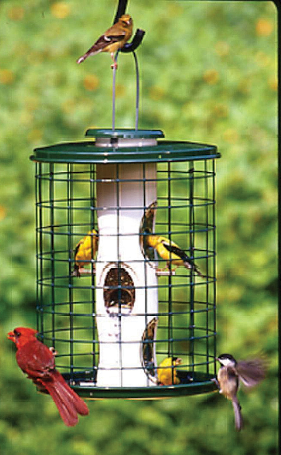Vari-Crafts Mixed Seed Bird Feeder - Walmart.com