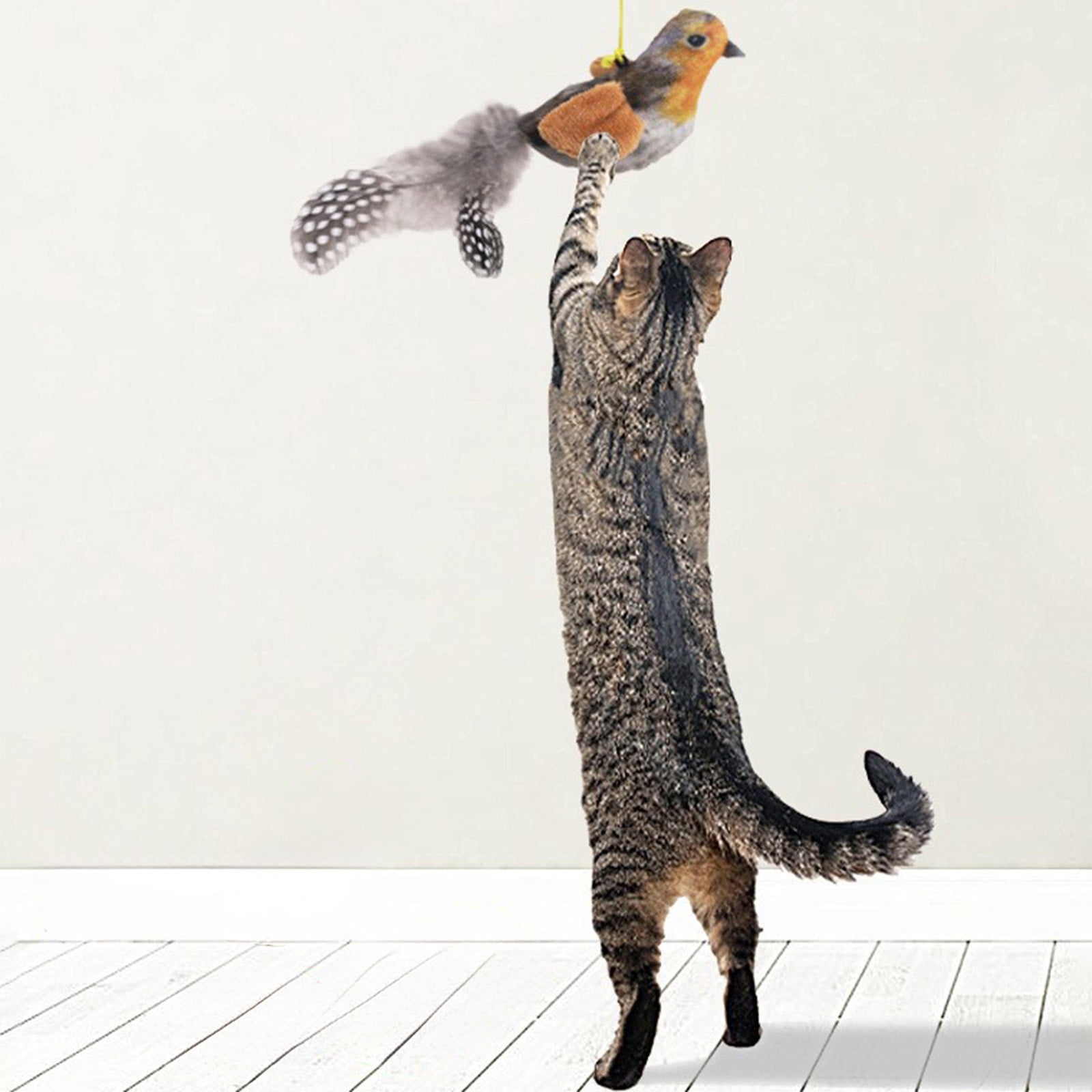 Aufmer 4 Pcs Automatic Cat Feather Teaser - Motion-Activated Bird Sound ...