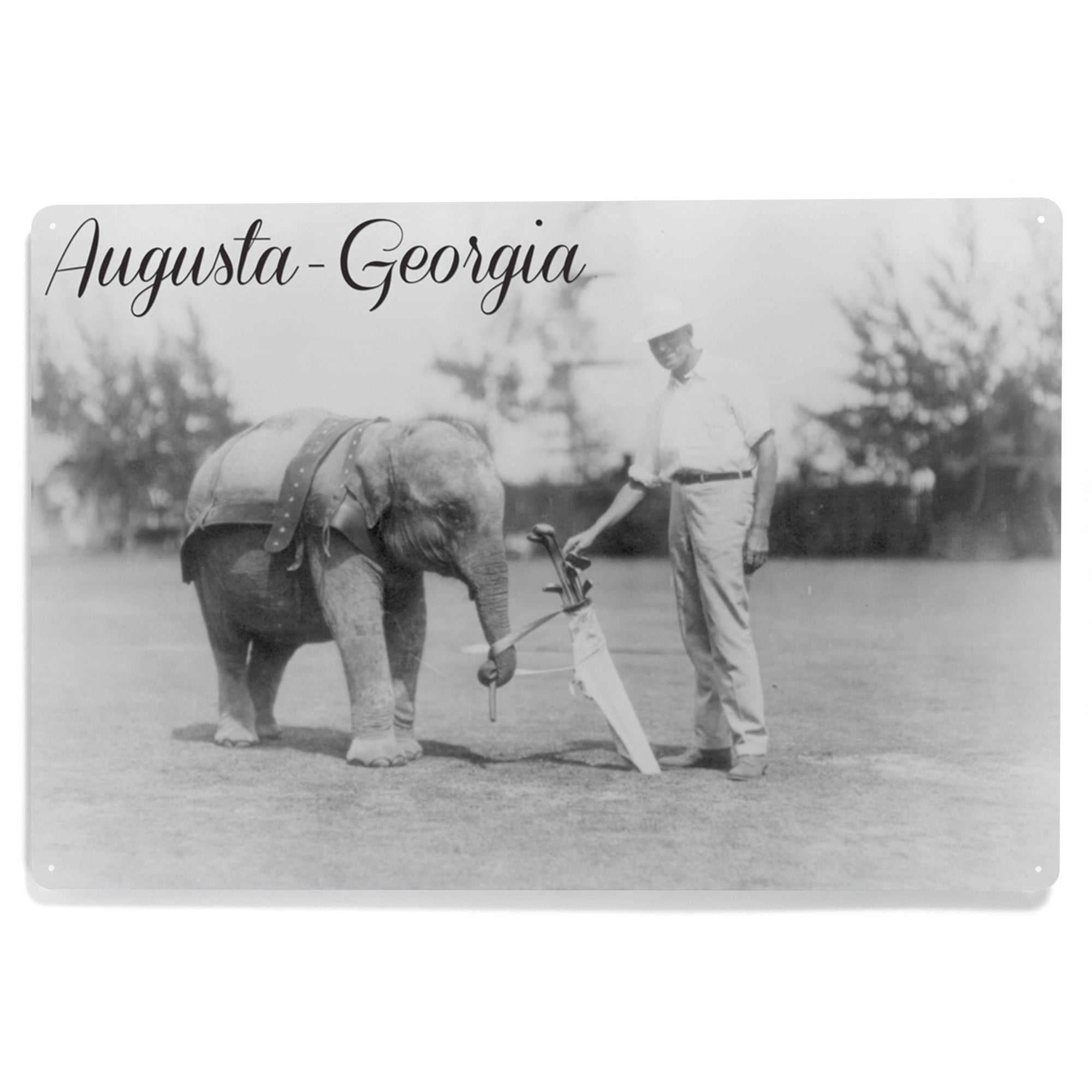 Augusta, Georgia, Elephant Caddie (12x18 Aluminum Art, Indoor Outdoor ...