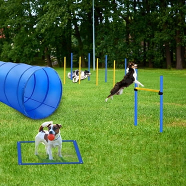 TRIXIE Dog Agility Dogwalk, Canine Agility Training, Obedience Training ...