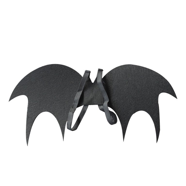 Bat Wing Xray Bat Wings, Bat Anatomy, Bat, 54% OFF