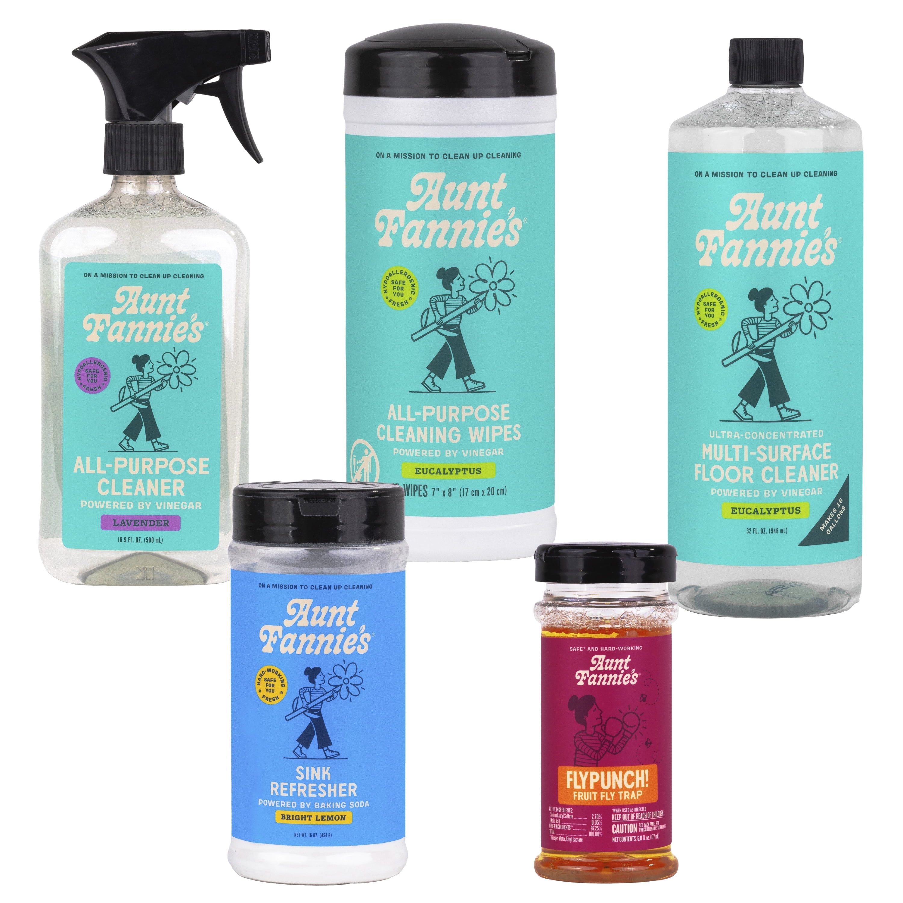 Aunt Fannie's Kitchen Cleaning Bundle, Variety Pack (Set of 5 ...