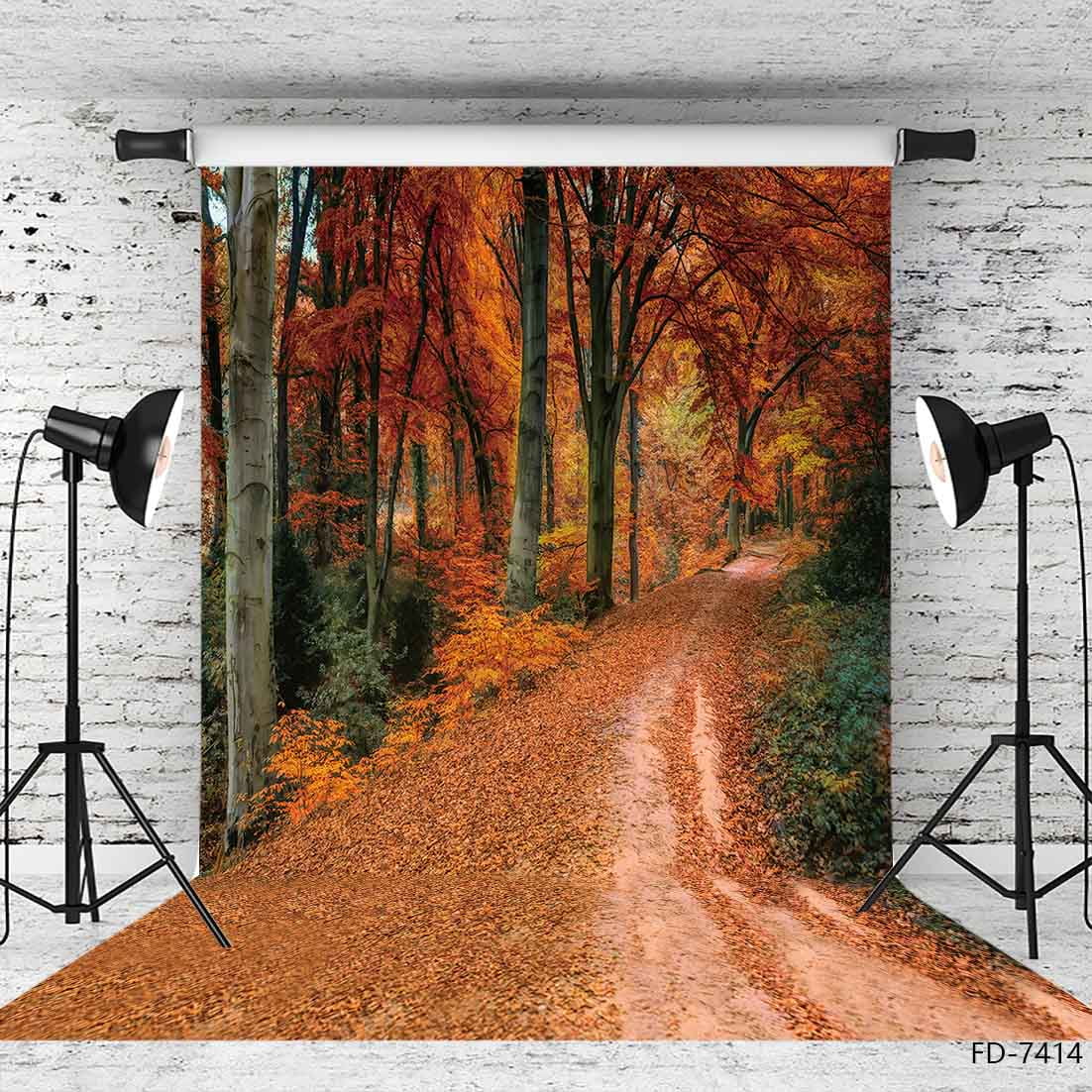 Auntumn Forest Tree Trail Photo Backdrops Vinyl Backgrounds for ...