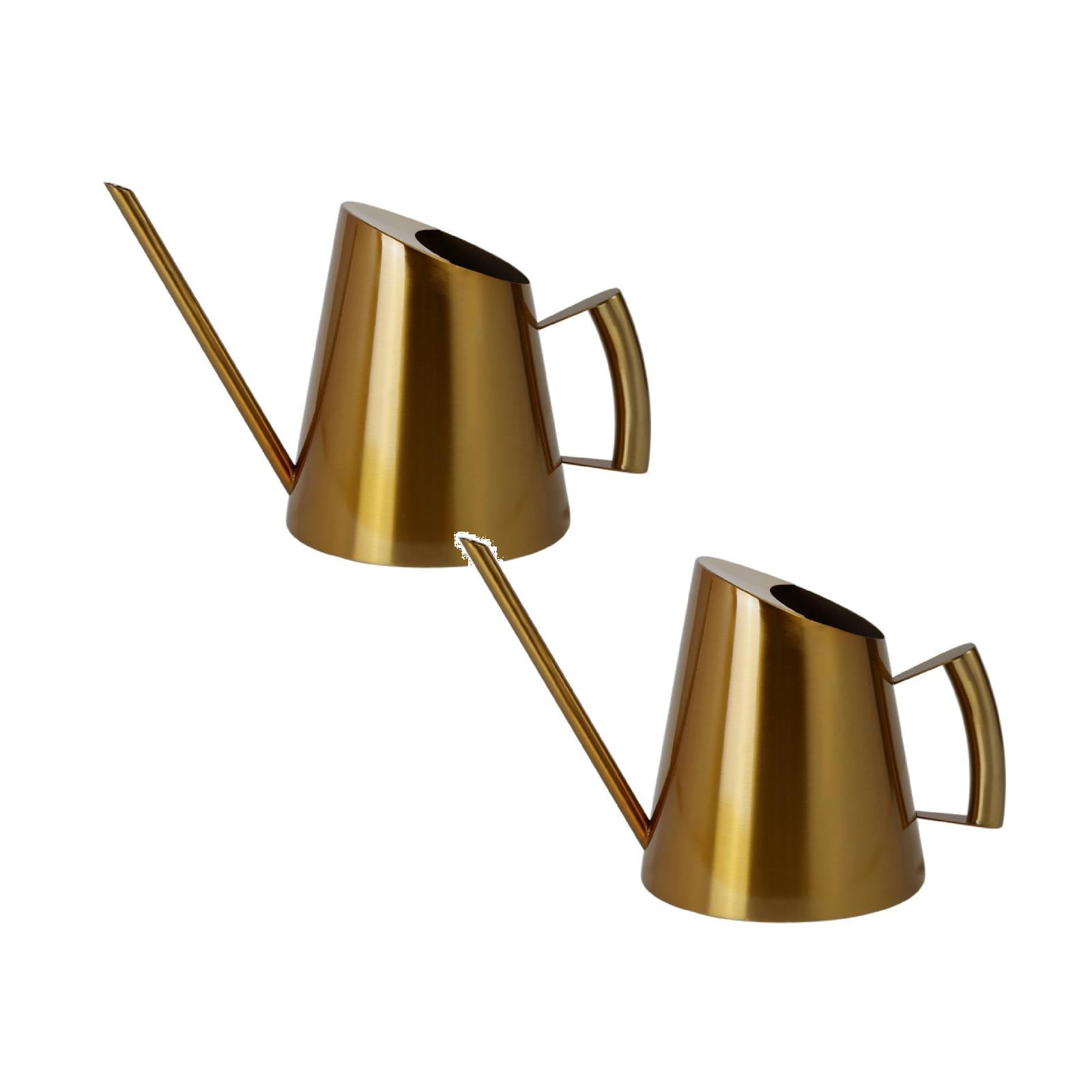 Auraaa 50 oz Water Can Stainless Steel -2Pc Watering Can with Long ...