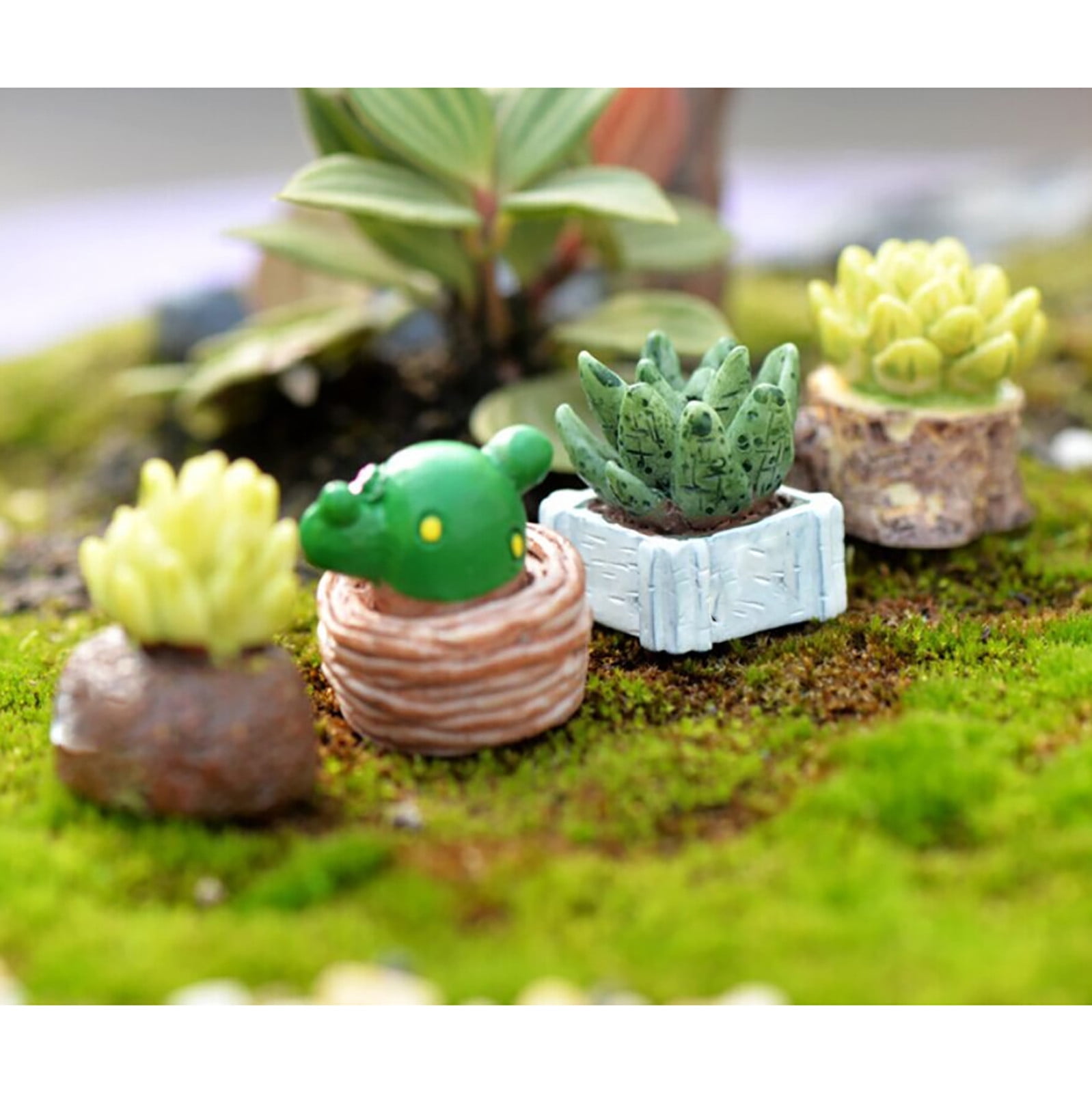 Aureia Clearance 3.9*3.9In Potted Plants, Love Micro Landscape ...