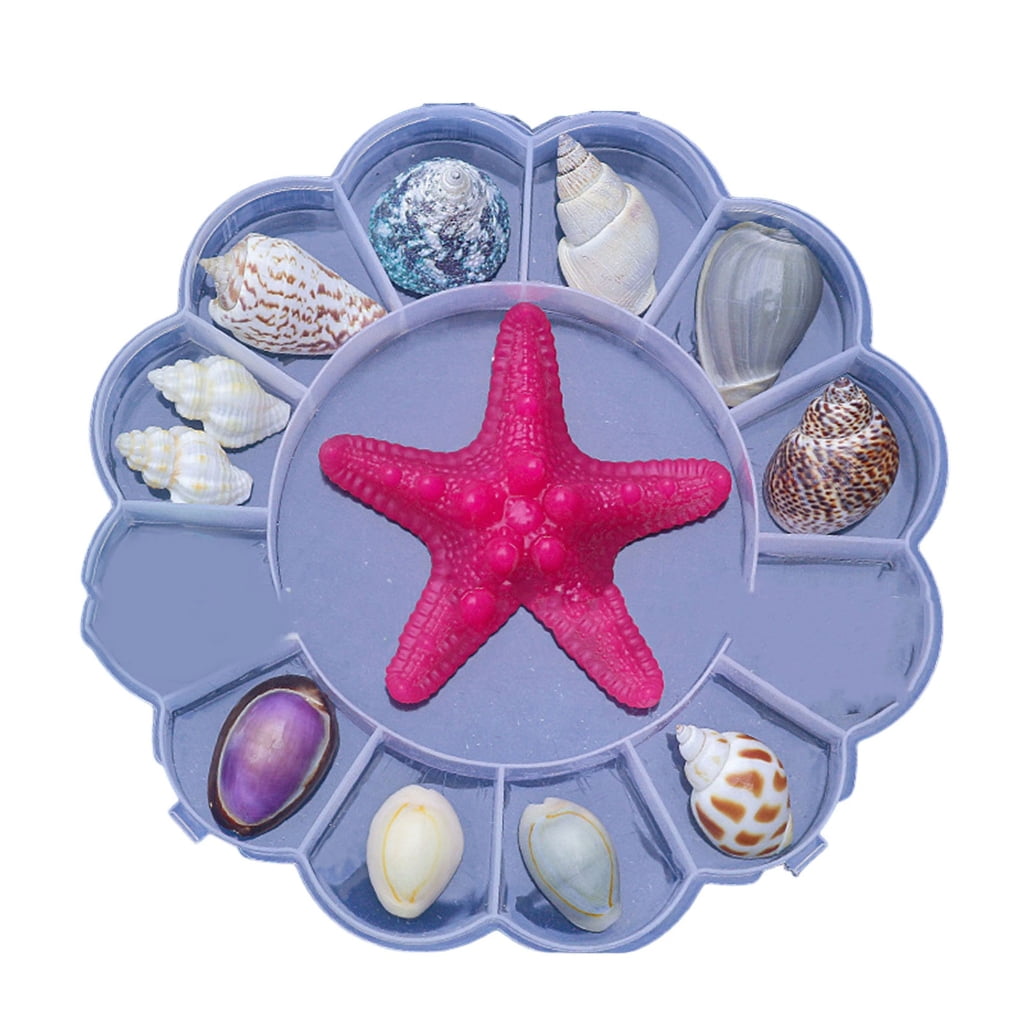 Aurgiarme Stackable Craft Organizers Compartment Portable Seashells ...
