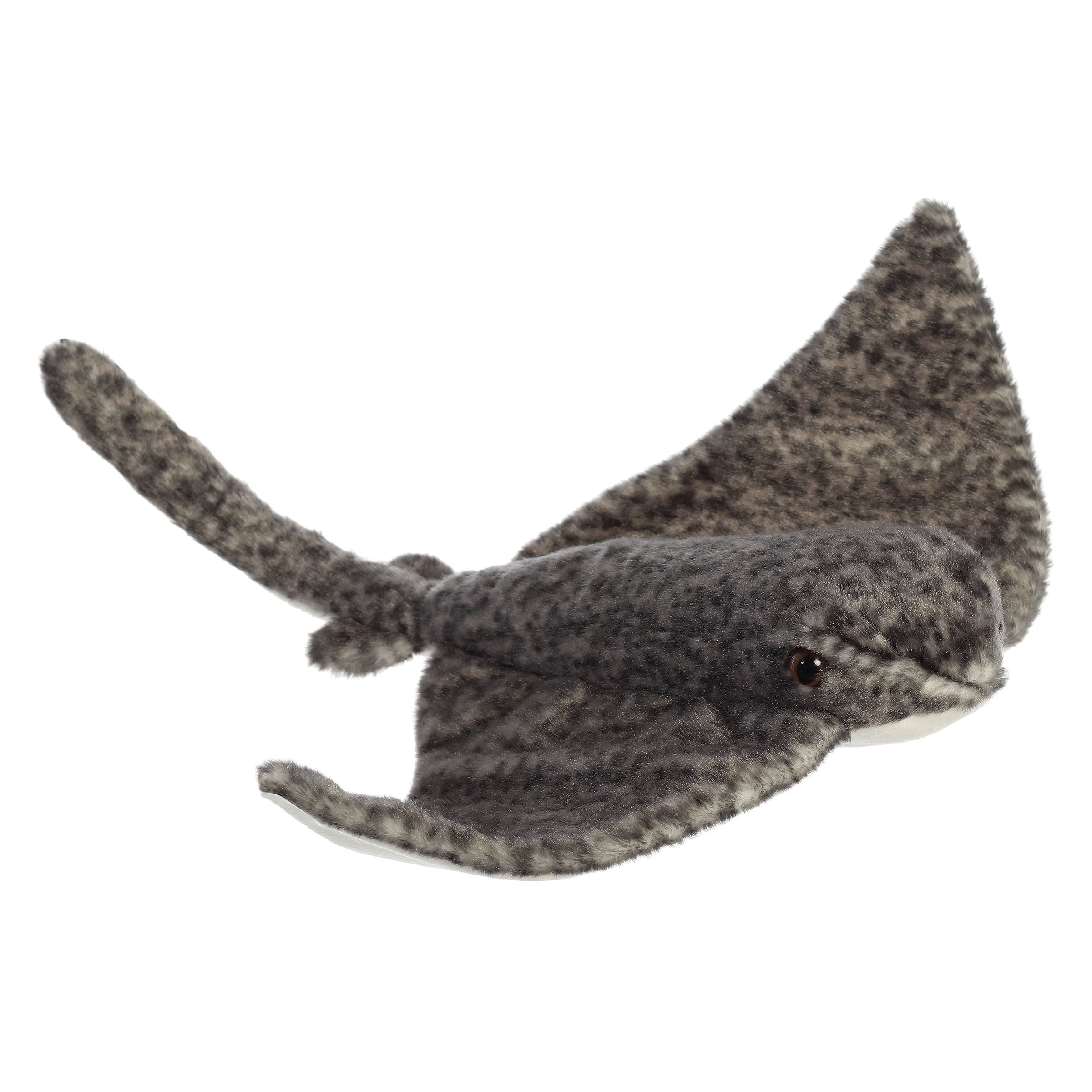 Aurora - Large Gray Destination Nation - 17" Stingray - Adventurous ...