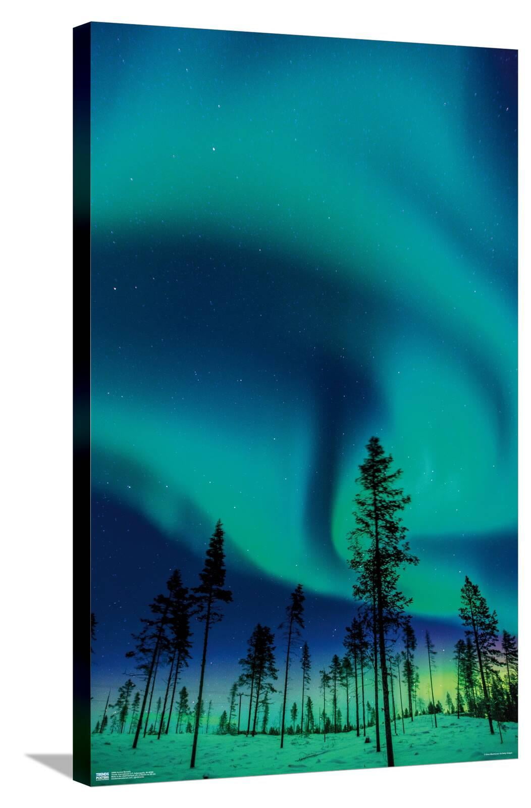 Aurora Borealis Canvas Wall Poster, 22.375" x 34" - Walmart.com