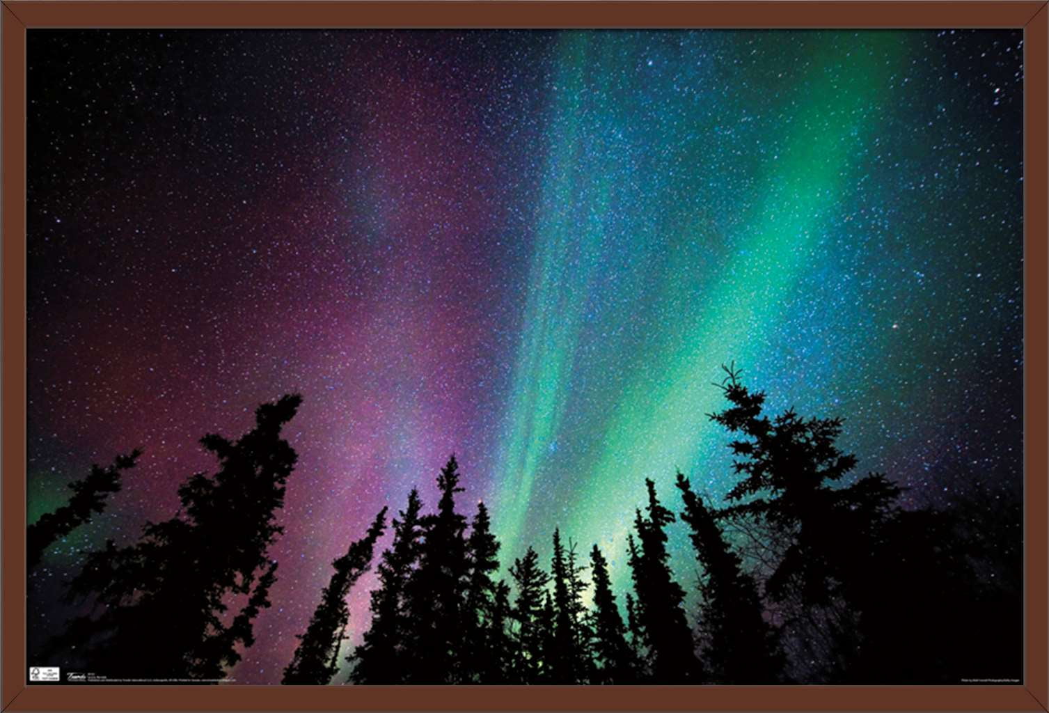 Aurora Borealis - Sky Wall Poster, 22.375" x 34", Framed - Walmart.com
