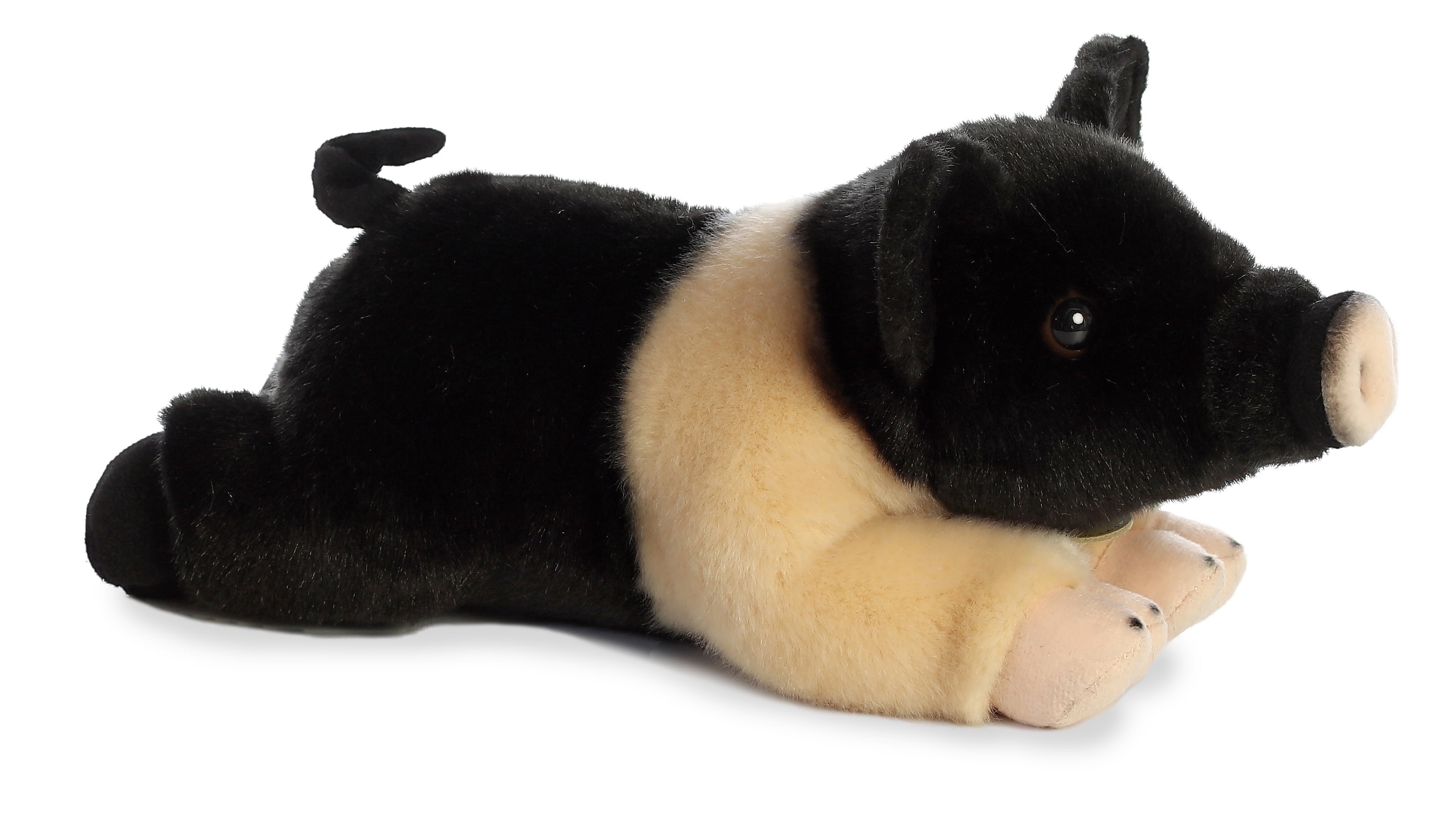 Aurora - Medium Black Miyoni - 12" Hampshire Pig - Realistic Stuffed ...