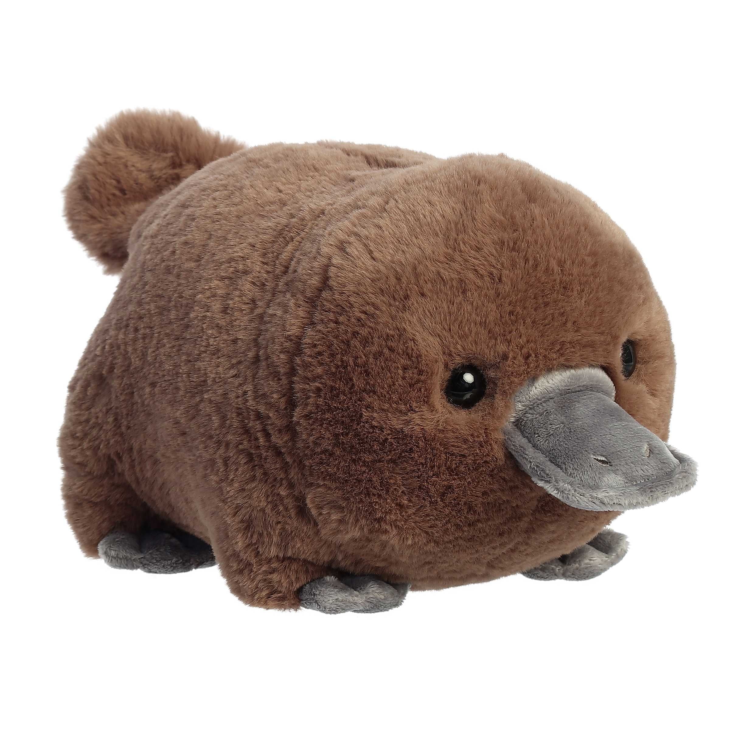 Aurora - Medium Brown Spudsters - 10" Pongo Platypus - Adorable Stuffed ...