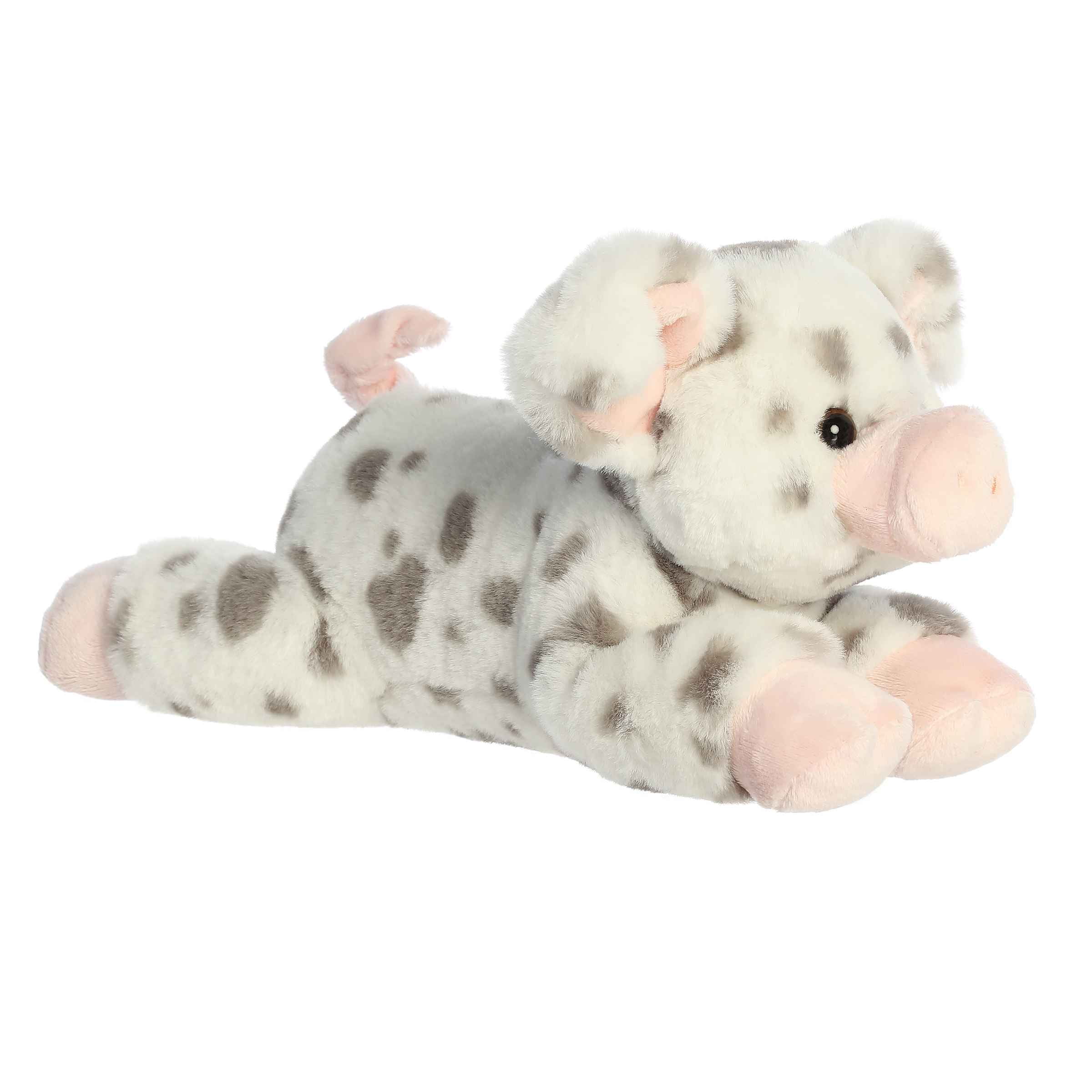 Aurora - Medium White Flopsie - 12" Speckles Spotted Pig - Adorable ...