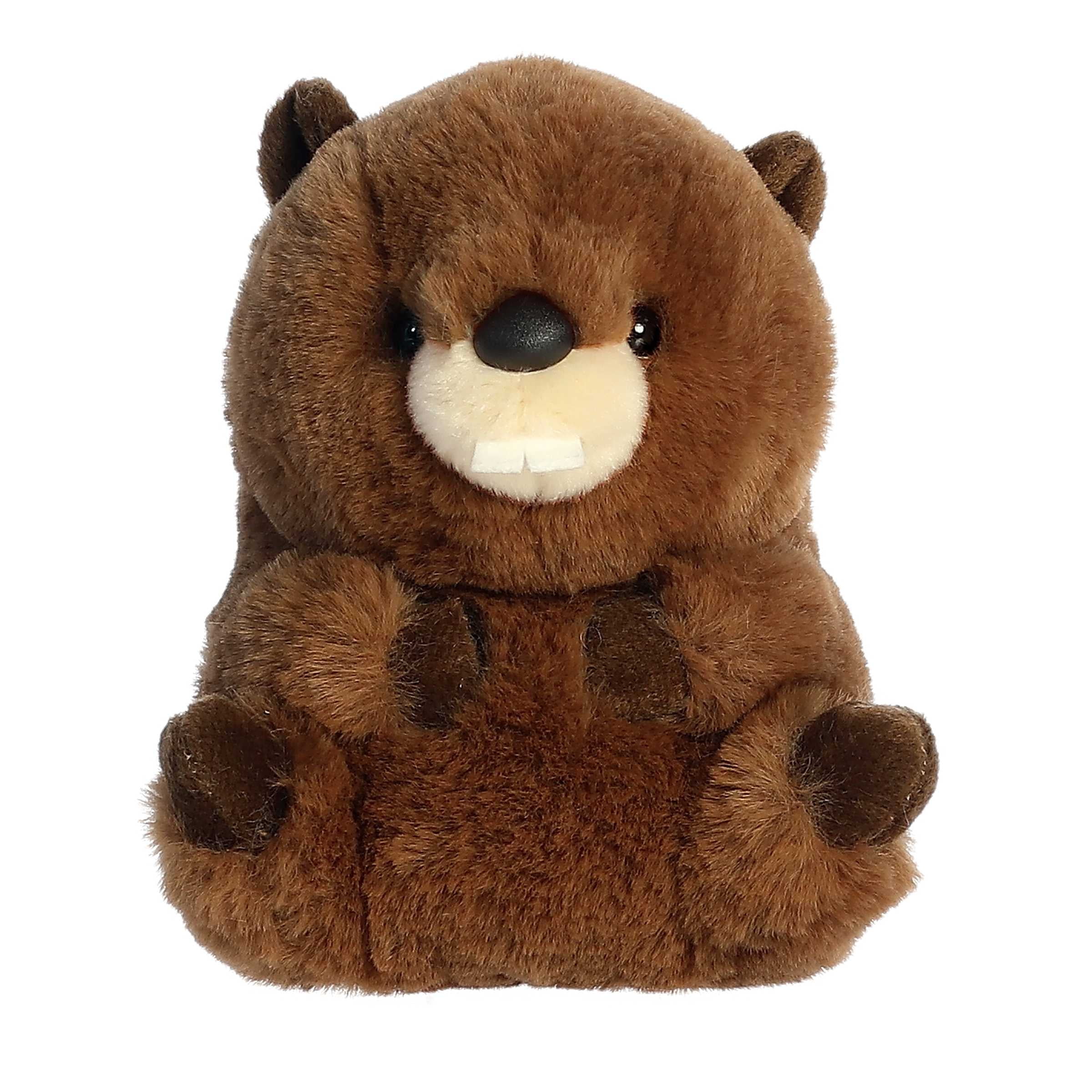 Aurora Mini Brown Beaver Plush, 5 Inch Rolly Pet Stuffed Animal ...