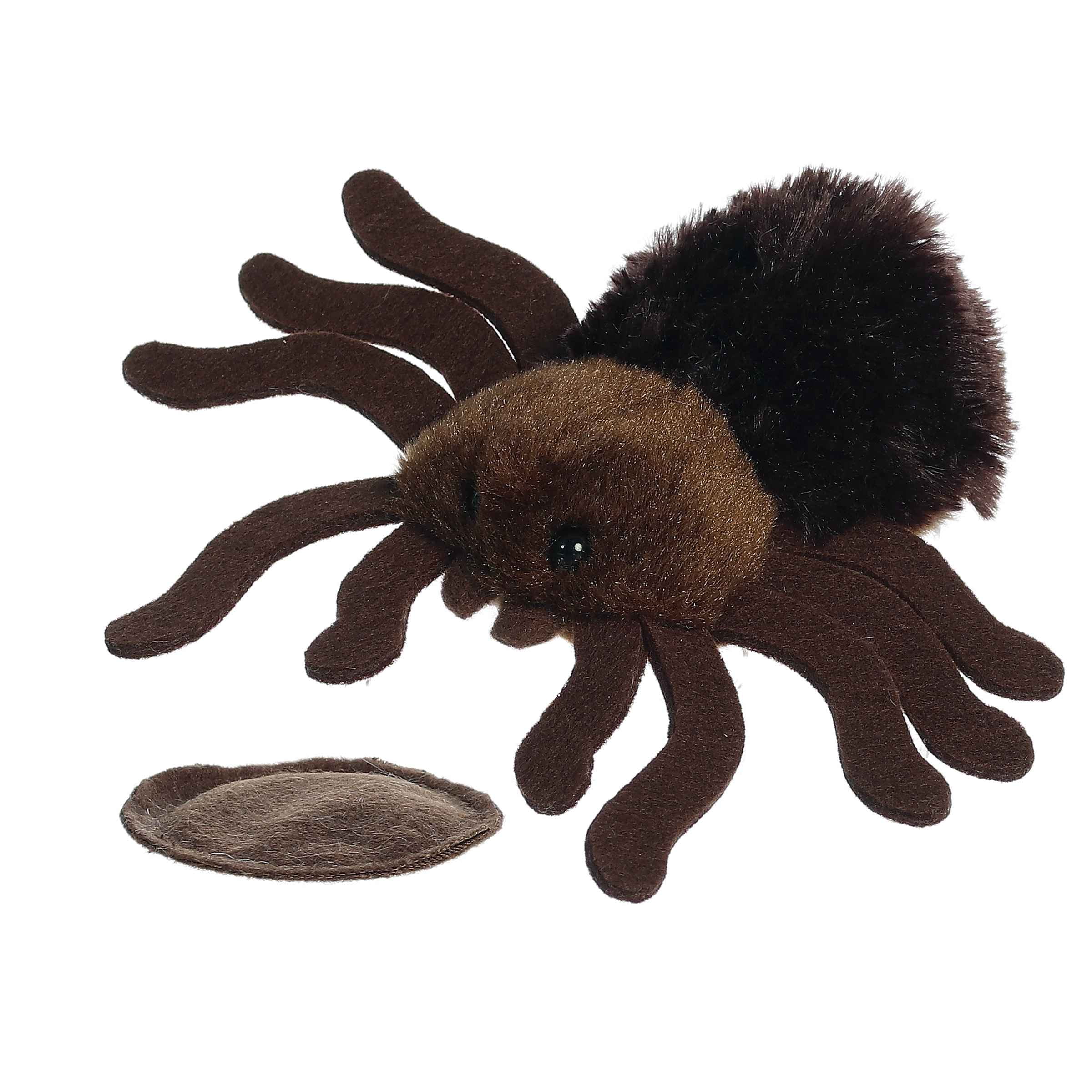 Aurora - Mini Brown Shoulderkins - 6" Jumpin' Tarantula - Adorable ...