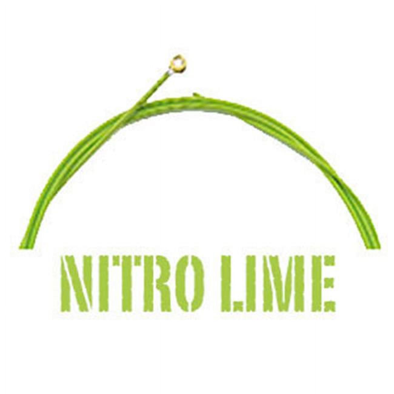 Aurora NITRO.LIME.E10-46 Premium Electric 10-46 Gauge Guitar Strings Light- Nitro Lime - Walmart.com