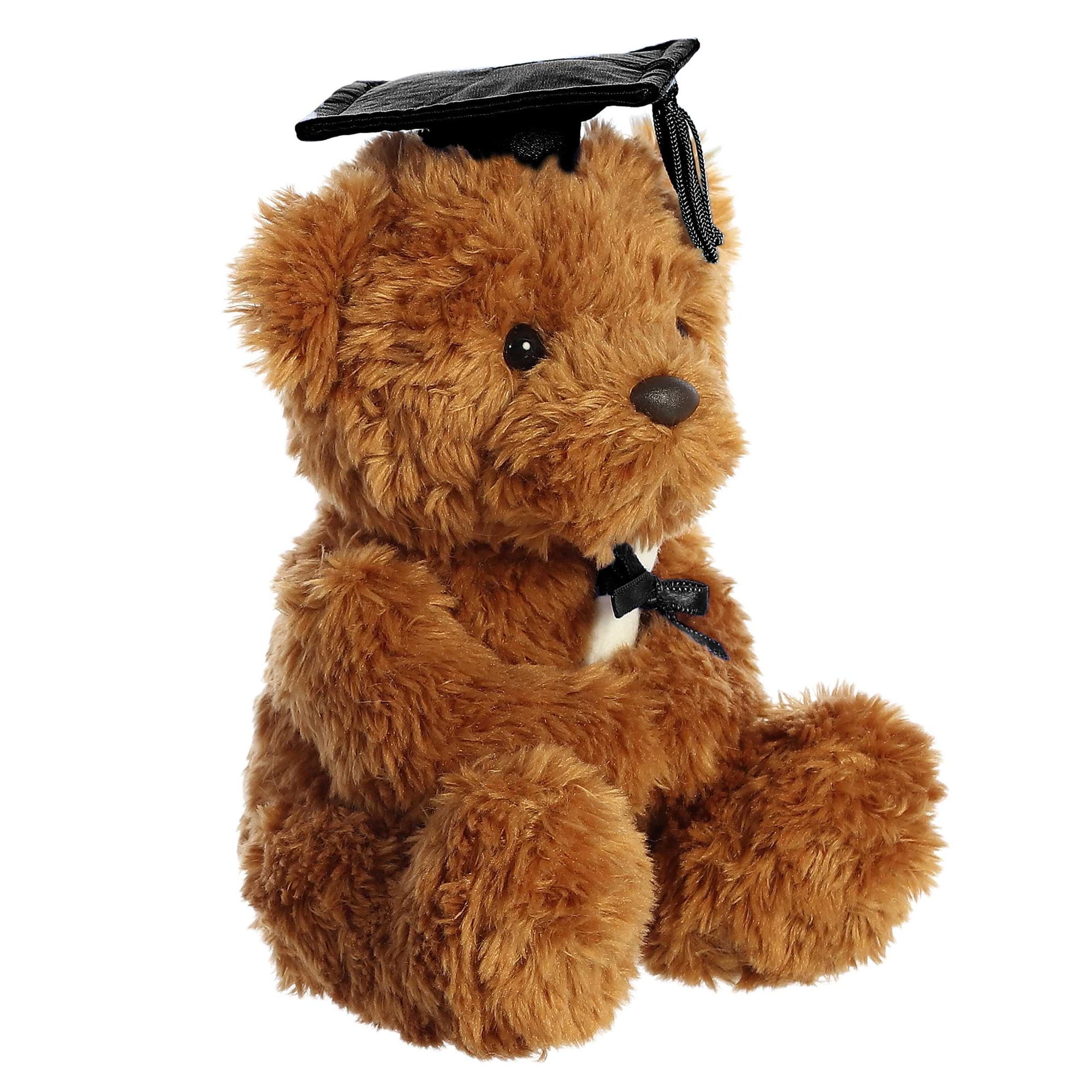 Aurora - Wagner Graduation Bear Plush Teddy Animal, Small Black Cap, 8. ...