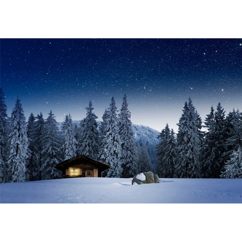 Aurora Starry Sky Background for Portrait Photo Shoot Winter Natural ...