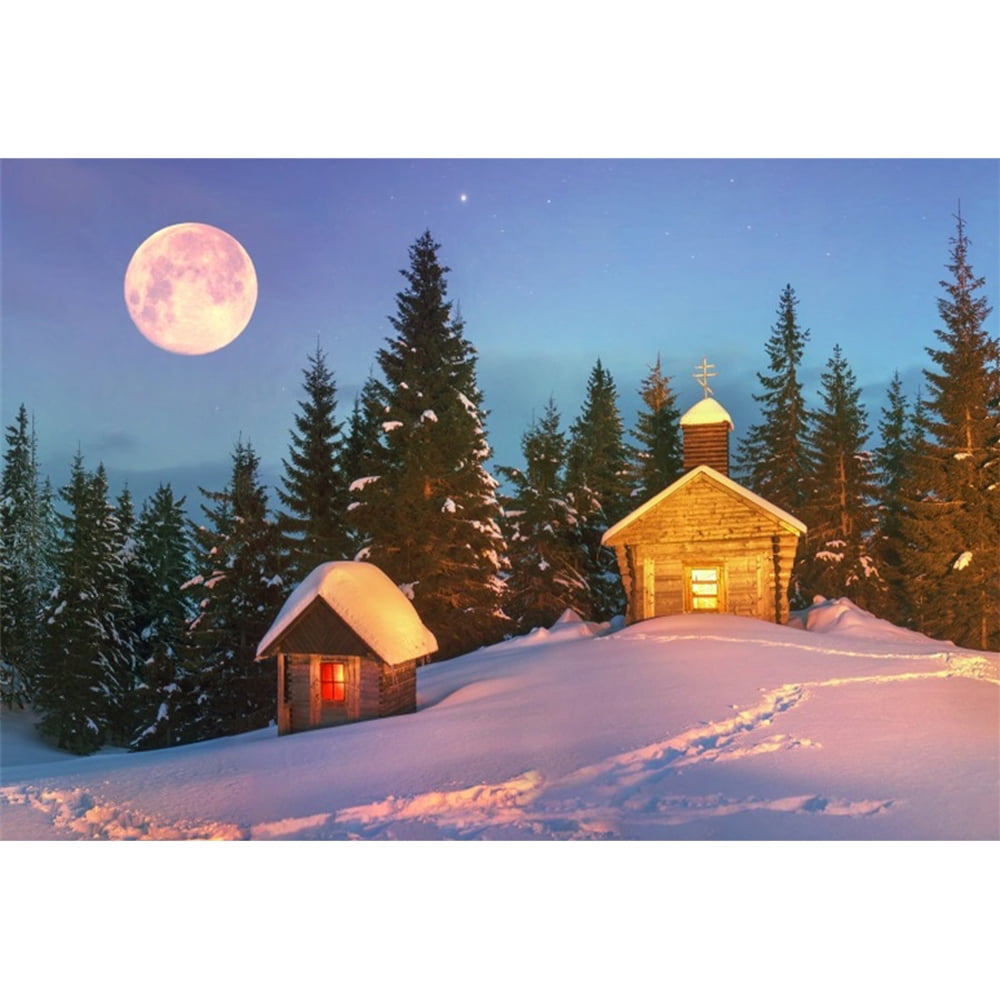 Aurora Starry Sky Background for Portrait Photo Shoot Winter Natural ...