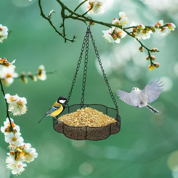 AuroraX Bird Feeder for Outdoors,Waterproof Hanging Bird Feeder Tray ...