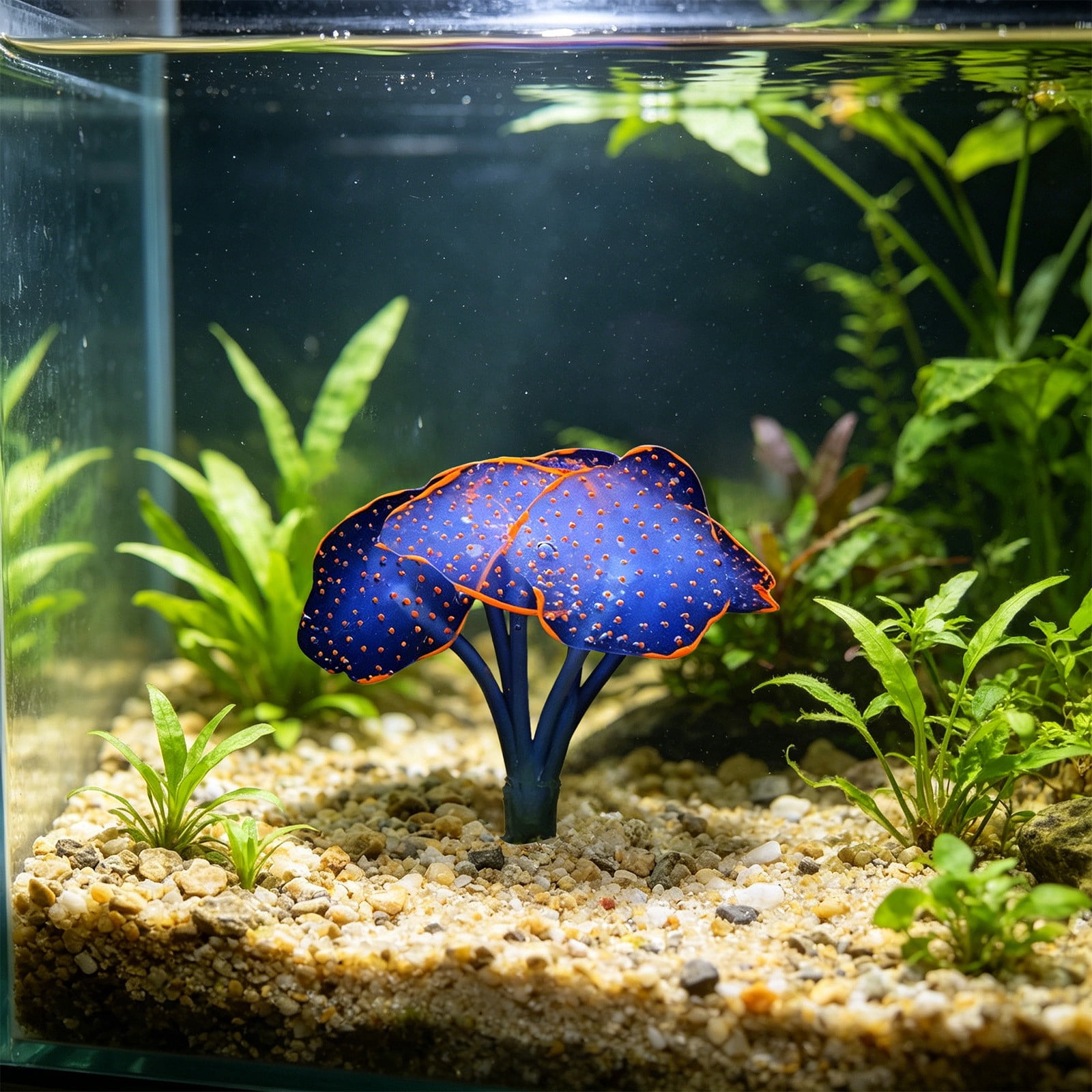 AuroraX Glow in the Dark Aquarium Decor Luminous Sea Anemone Fresh ...