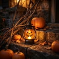 AuroraX Halloween Black Pumpkin Night Light Indoor Halloween Room ...