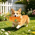 AuroraX Plush Squeaky Dog Chew Toy Aggressive Chewer Dog Toy Soft Long ...