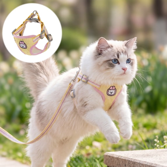 AuroraX Small Pet Harness Leash Set Breathable Mesh Cat Vest Soft ...