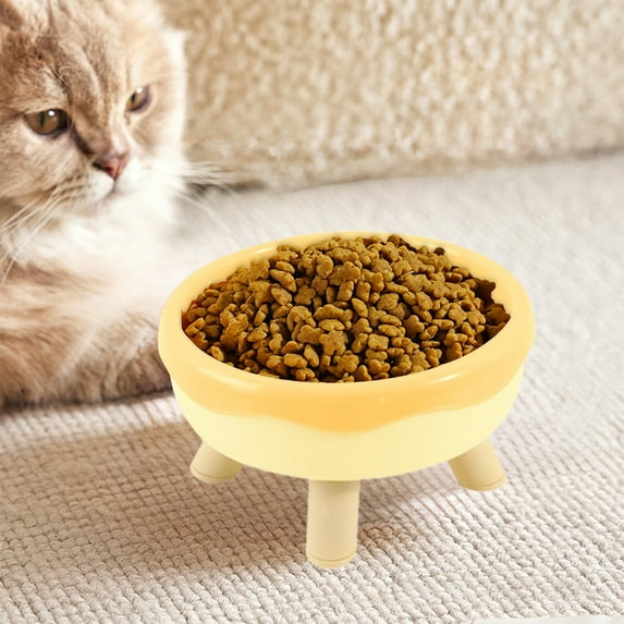 AuroraX No Spill Cat Bowls Elevated Small Dog Bowl for Indoor Cat Dog ...